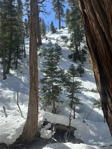 Best Lake Trails in Forest Falls | AllTrails