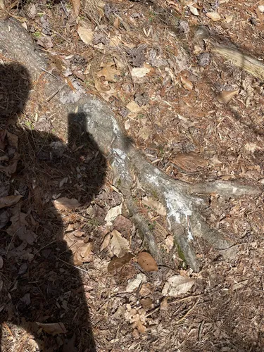 Best Hikes and Trails in Ashland Nature Center | AllTrails