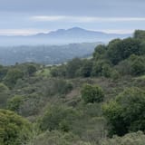 Round Top, Volcanic and Skyline Loop, California - 2,919 Reviews, Map ...