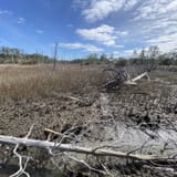 Cape Henry Trail, Virginia - 553 Reviews, Map | AllTrails