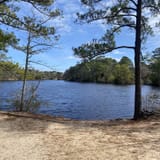 Cape Henry Trail, Virginia - 553 Reviews, Map | AllTrails