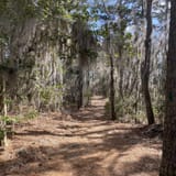 Cape Henry Trail, Virginia - 553 Reviews, Map | AllTrails