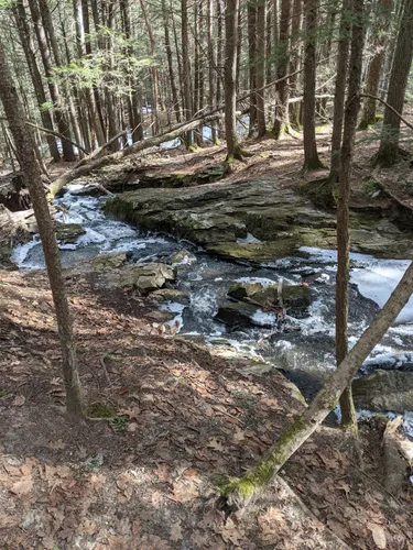 Best Hikes and Trails in Fuller Farm Preserve | AllTrails