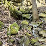 Alcorn Branch Falls, Kentucky - 23 Reviews, Map | AllTrails