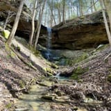 Alcorn Branch Falls, Kentucky - 23 Reviews, Map | AllTrails