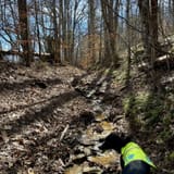 Alcorn Branch Falls, Kentucky - 23 Reviews, Map | AllTrails