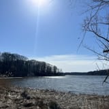 Abraham Lincoln Park White Trail, New York - 1,546 Reviews, Map | AllTrails