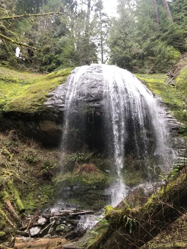 Best Hikes and Trails in Myrtle Point | AllTrails