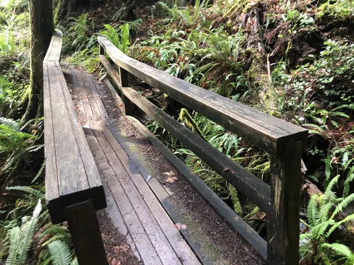 Best Hikes and Trails in Myrtle Point | AllTrails