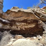 Haynes Ridge and Upper North Prong Trail Loop, Texas - 881 Reviews, Map ...