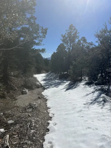 Best Mountain Biking Trails in Spring Mountains National Recreation ...