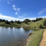 Bon Tempe Lake Loop, California - 1,936 Reviews, Map | AllTrails