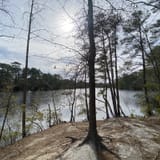 Cape Henry Trail, Virginia - 553 Reviews, Map | AllTrails