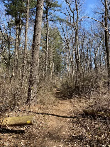 Best Hikes and Trails in Tyler Arboretum | AllTrails