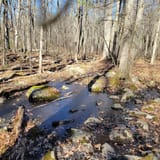 Spring Hill Yellow and Blue Loop Trail, Massachusetts - 236 Reviews ...