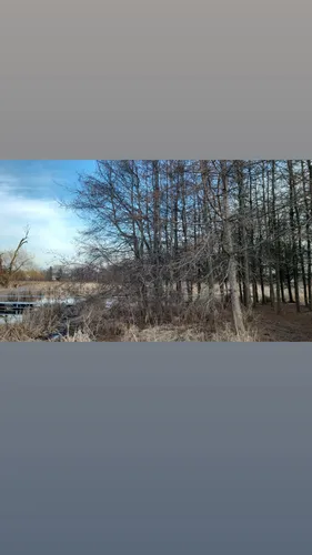 Best Hikes and Trails in Edna Taylor Conservation Park | AllTrails