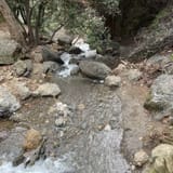Temescal Canyon Trail, California - 9,822 Reviews, Map | AllTrails