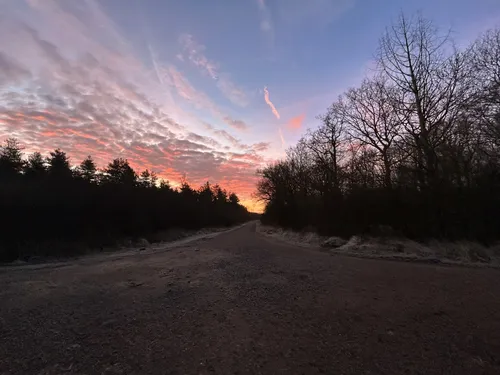 Best Hikes and Trails in Salcey Forest | AllTrails