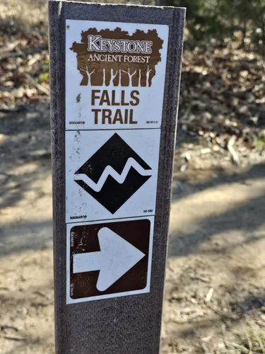 Best Views Trails in Keystone Ancient Forest | AllTrails