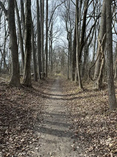 Best Hikes and Trails in Sparrows Point | AllTrails