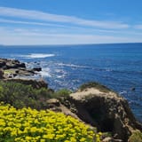 Point Loma Tidepools and Coastal Trail, California - 722 Reviews, Map ...