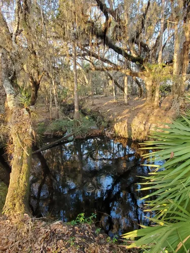 Best Hikes and Trails in Three Lakes Wildlife Management Area | AllTrails