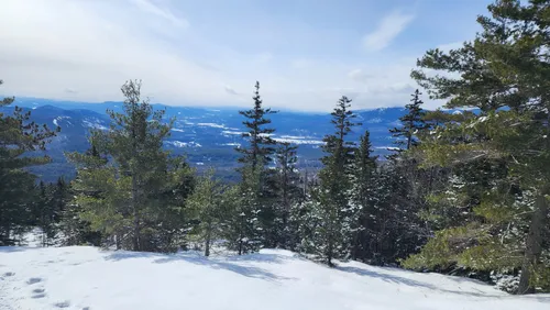 Best Hikes and Trails in Merriman State Forest | AllTrails