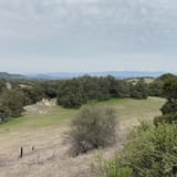 Vernal Pool Trail and Transpreserve Trail Loop, California - 395 ...