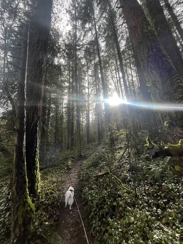 Best Hikes and Trails in Fallen Leaf Lake Park | AllTrails