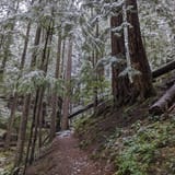 Mount Storm King, Washington - 10,740 Reviews, Map | AllTrails