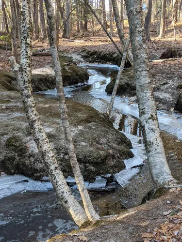 Best Hikes and Trails in Fuller Farm Preserve | AllTrails