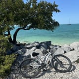 Key West Cycling Loop, Florida - 418 Reviews, Map | AllTrails