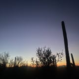 Bajada Loop Drive, Arizona - 229 Reviews, Map | AllTrails