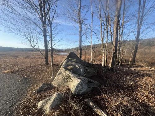 Best Hikes and Trails in Thomas and Palmer Brook Reserve | AllTrails