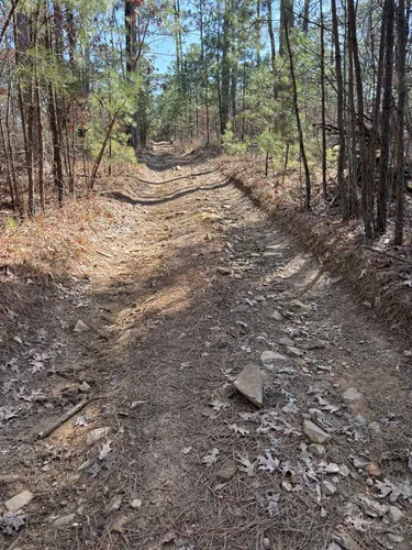 Best Horseback Riding Trails in Talihina | AllTrails