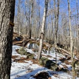 Hadley Mountain Trail, New York - 2,997 Reviews, Map | AllTrails