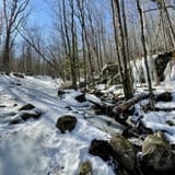 Hadley Mountain Trail, New York - 2,997 Reviews, Map | AllTrails