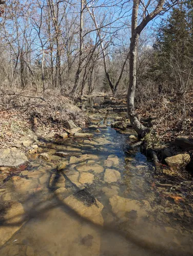 Best Views Trails in Keystone Ancient Forest | AllTrails