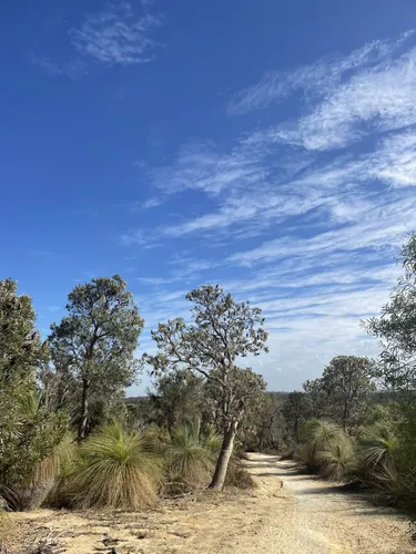 Best Lake Trails in Yanchep National Park | AllTrails