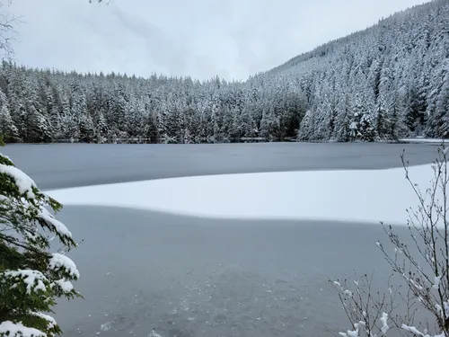 Best Lake Trails in Sumas Mountain Regional Park | AllTrails