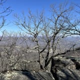 Tinker Cliffs via Andy Layne Trail, Virginia - 1,607 Reviews, Map ...