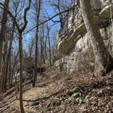 Tinker Cliffs via Andy Layne Trail, Virginia - 1,607 Reviews, Map ...