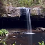 Lower Kalimna Falls, Victoria, Australia - 129 Reviews, Map | AllTrails