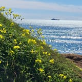 Sunset Cliffs Park Trail, California - 576 Reviews, Map | AllTrails