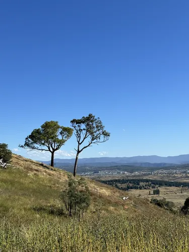 Best Moderate Trails in Mount Painter Nature Reserve | AllTrails