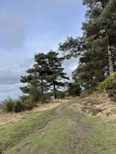 Best Walking Trails in Ashdown Forest | AllTrails