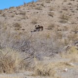 Secret Pass Loop, Arizona - 88 Reviews, Map | AllTrails