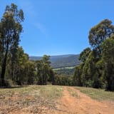 Taggerty River Lookout Loop, Victoria, Australia - 67 Reviews, Map ...