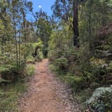 Taggerty River Lookout Loop, Victoria, Australia - 67 Reviews, Map ...
