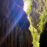 Patuna Chasm Walk, Wellington, New Zealand - 29 Reviews, Map | AllTrails